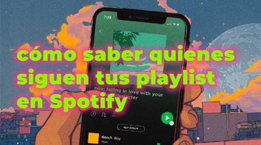 Cómo Ver Quién Guardó mi Playlist en Spotify - Tunelf