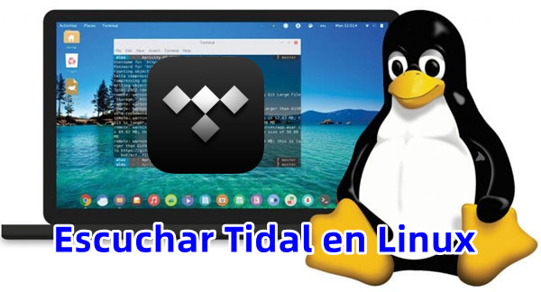 3 Métodos Útiles para Escuchar Tidal en Linux - Tunelf